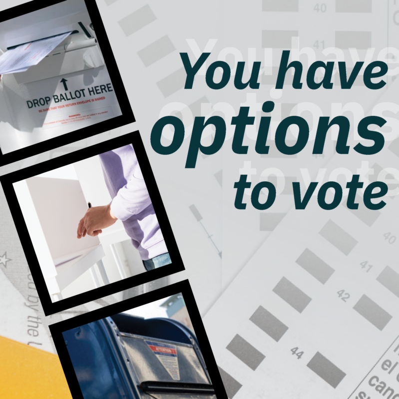 Options to Vote Graphics - Elections Group